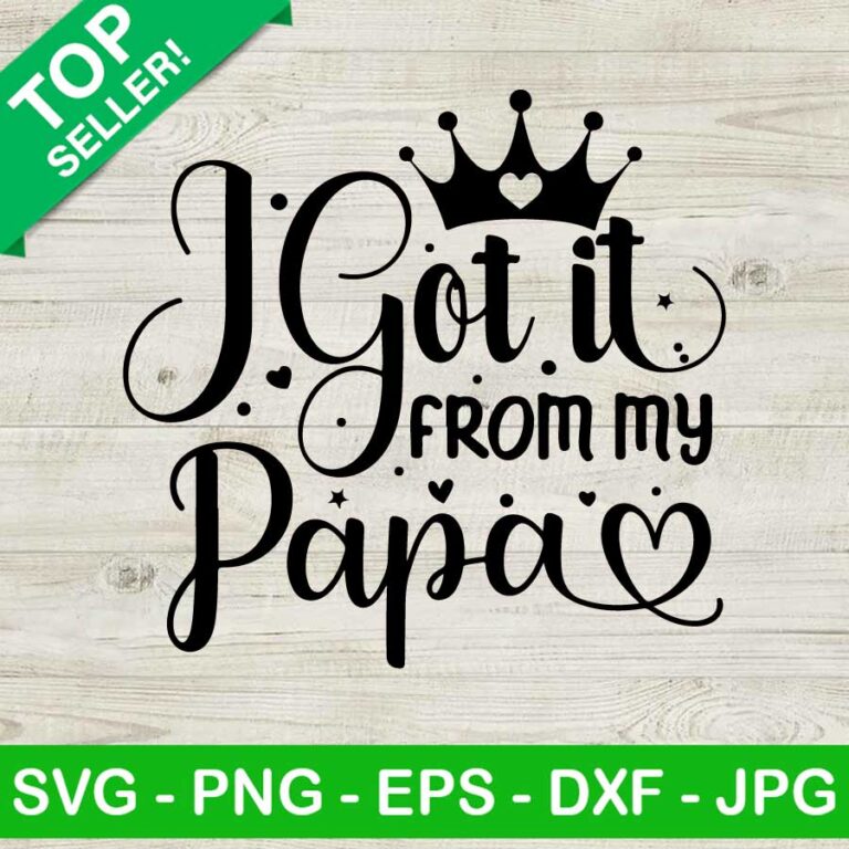 I Got It From My Papa SVG, Funny Toddler SVG, Baby Sayings SVG