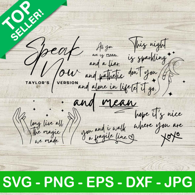 Taylor Swift Tour SVG Bundle, Swiftie SVG, Speak now SVG PNG DXF