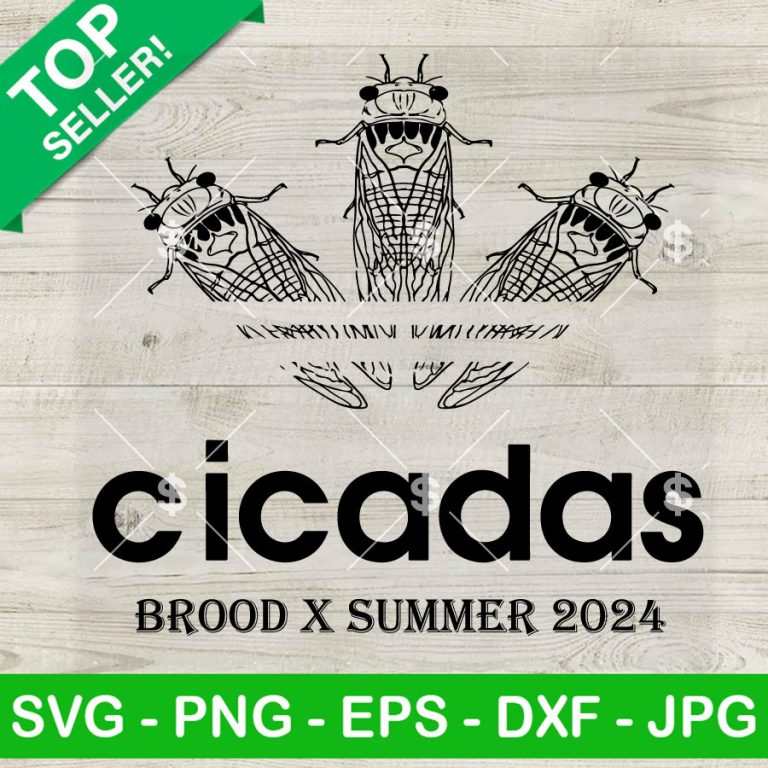 Cicada Sing Dance Molt SVG, Reunion Tour 2024 SVG, Cicada Concert Tour ...